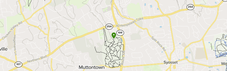 Best Trails in Muttontown Preserve - New York | AllTrails