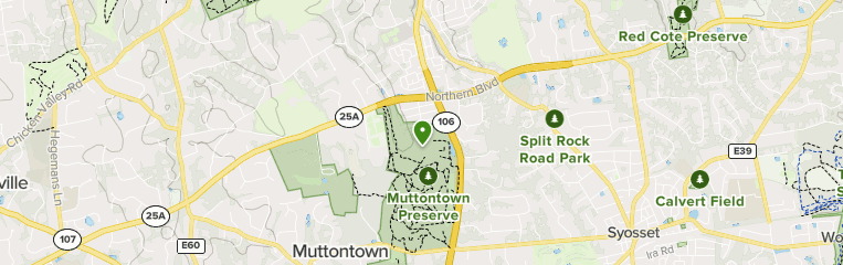 Najlepsze wycieczki i szlaki w Muttontown Preserve | AllTrails