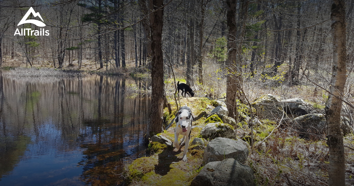 Best hikes and trails in Morgan Meadow Wildlife Management Area | AllTrails
