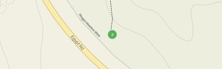 Best Hikes and Trails in Morgan Meadow Wildlife Management Area | AllTrails