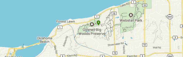 Best Hikes and Trails in Gosnell Big Woods Preserve | AllTrails