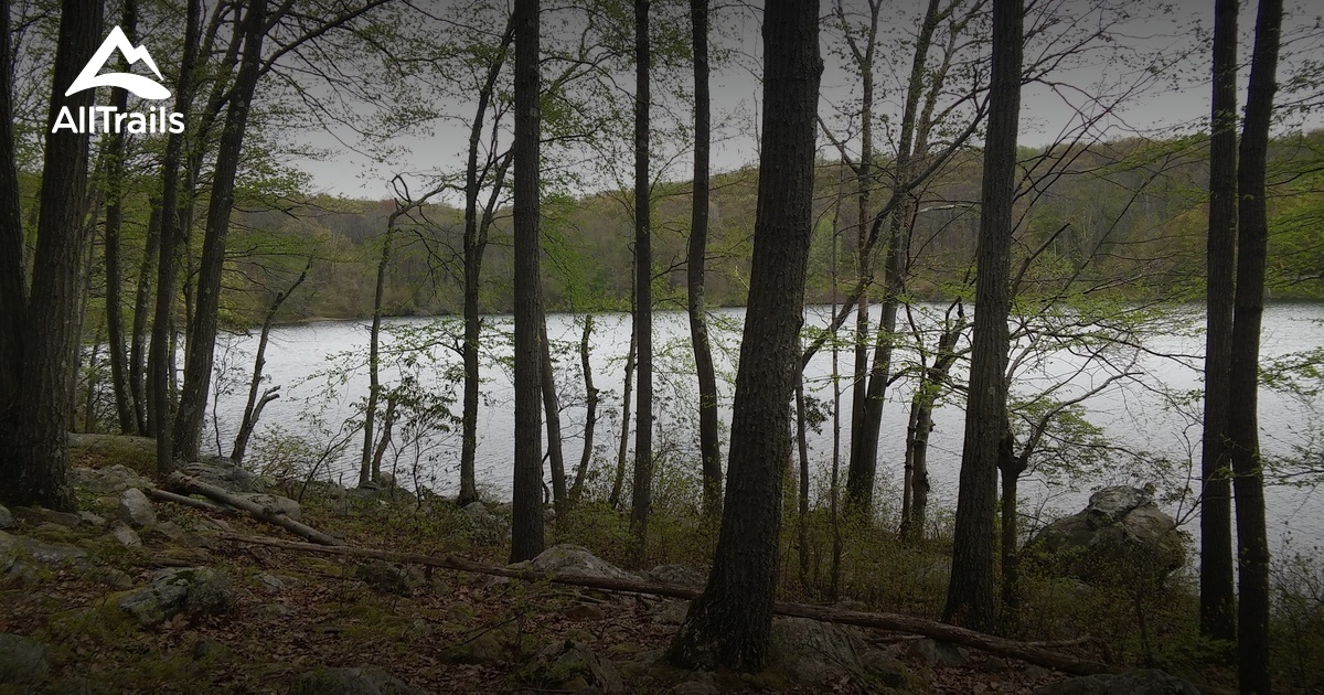 Best hikes and trails in Mount Hope Historical County Park | AllTrails