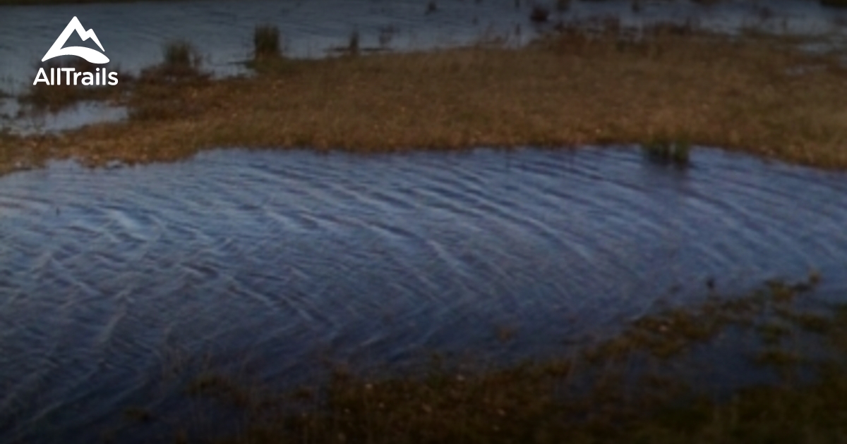 Best walking trails in RAF Greenham Common | AllTrails