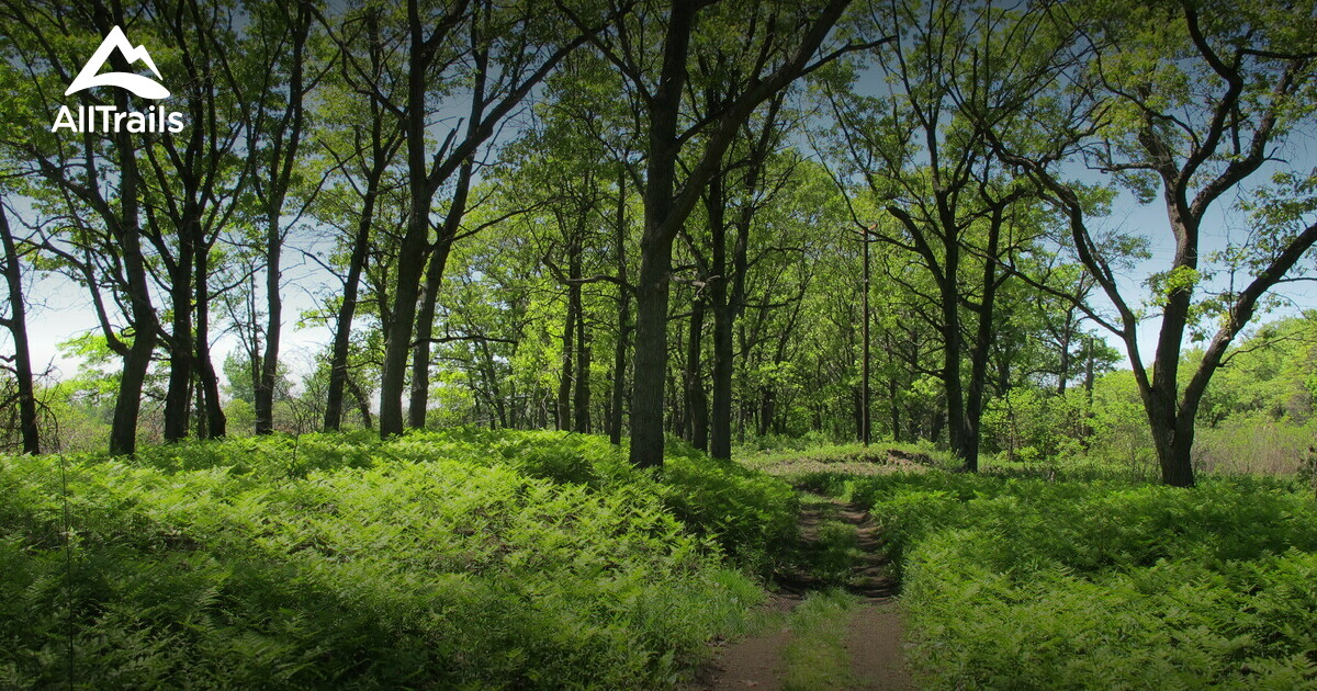 Best Hikes and Trails in Ivanhoe South Nature Preserve | AllTrails