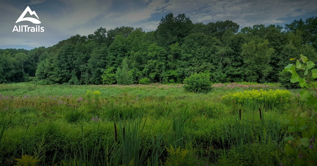 Best hikes and trails in Broad Meadow Brook Conservation Area | AllTrails