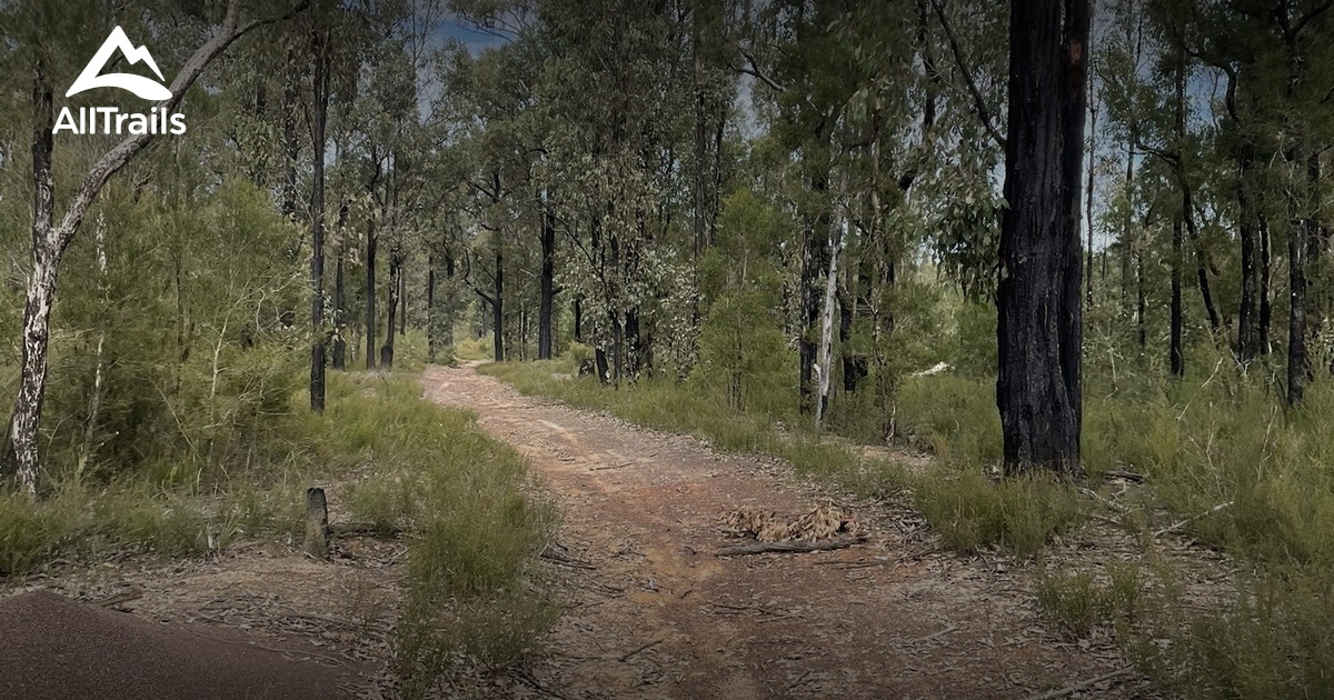 Best hikes and trails in Castlereagh Nature Reserve | AllTrails