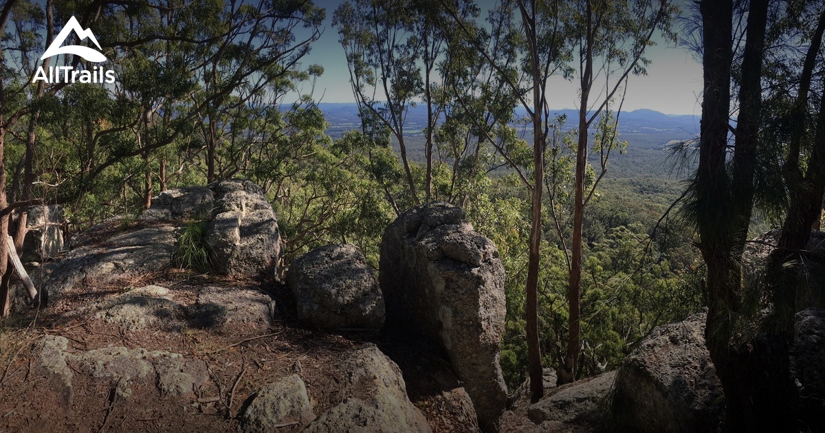 Best views trails in Broken Bago State Forest | AllTrails