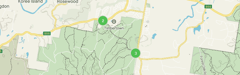 Best Hikes and Trails in Broken Bago State Forest | AllTrails