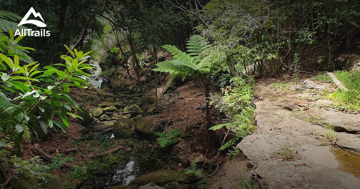 Best hikes and trails in Watergate Reserve | AllTrails