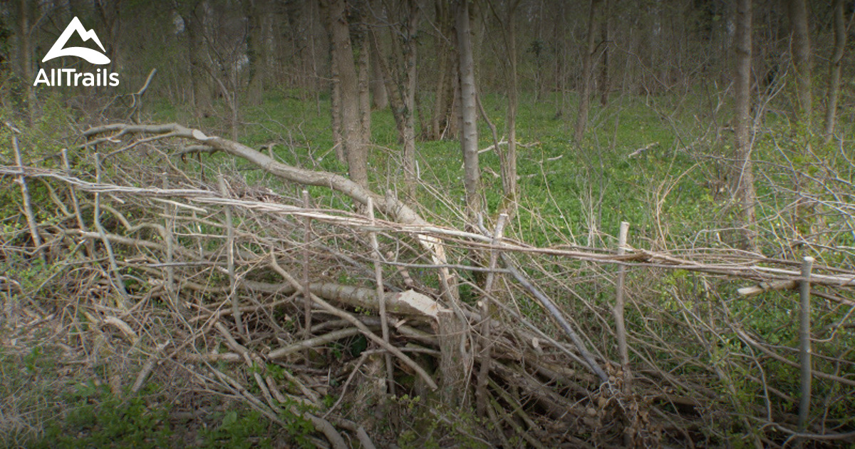 Best hikes and trails in Hardwick Wood | AllTrails