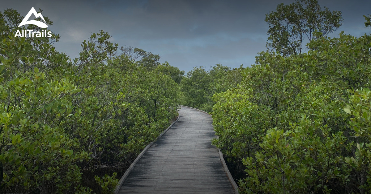 Best hikes and trails in Hunter Wetlands National Park | AllTrails