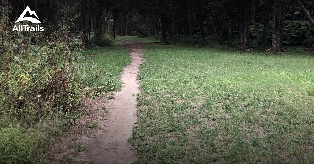 Best hikes and trails in Tennyson Park | AllTrails