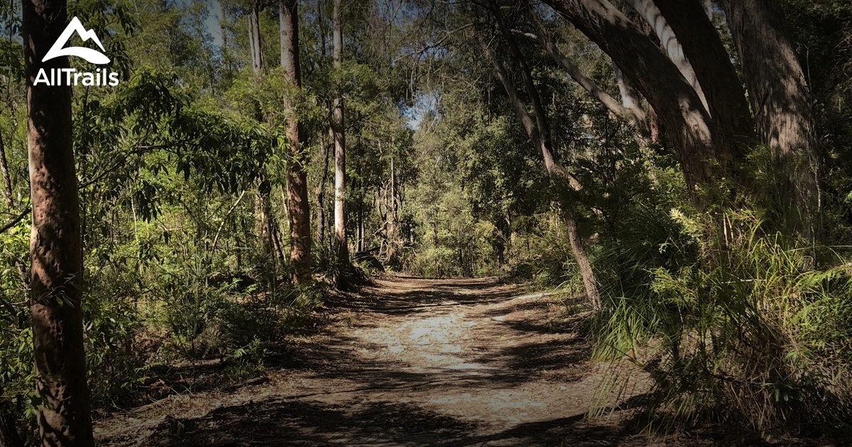Best hikes and trails in Wahroonga Reserve | AllTrails