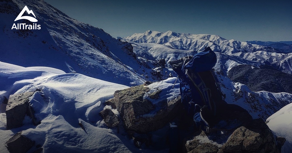 Best hikes and trails in Sharplin Falls Reserve | AllTrails