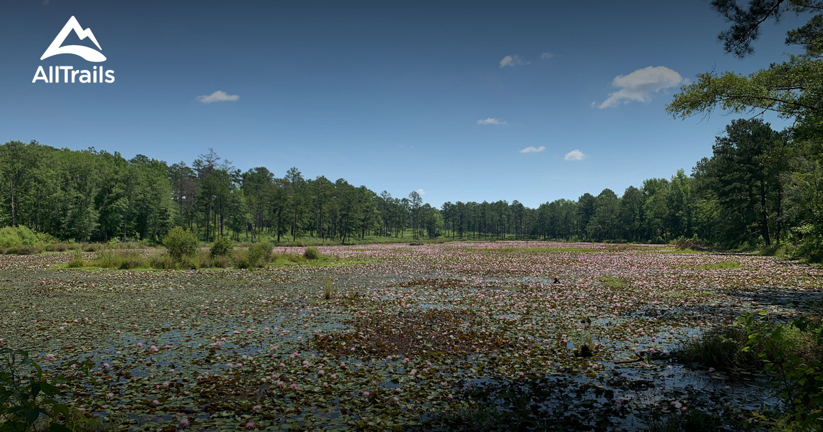 Best hikes and trails in Forever Wild Wehle Tract Nature Preserve and ...