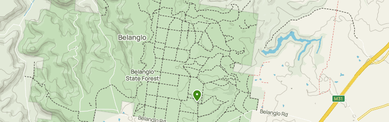 Best Hikes and Trails in Belanglo State Forest | AllTrails