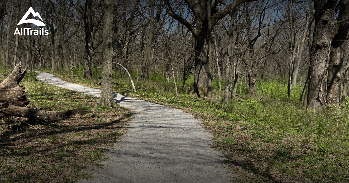 Best hikes and trails in Brown's Woods Preserve | AllTrails
