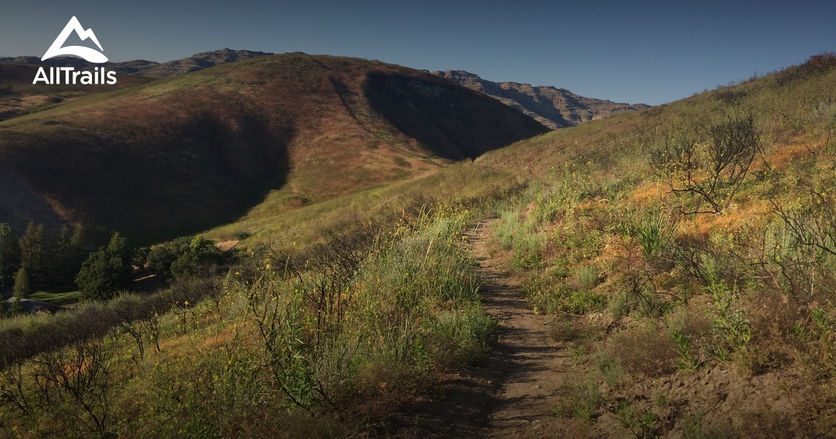 10 Best wildflower trails in North Ranch Open Space | AllTrails