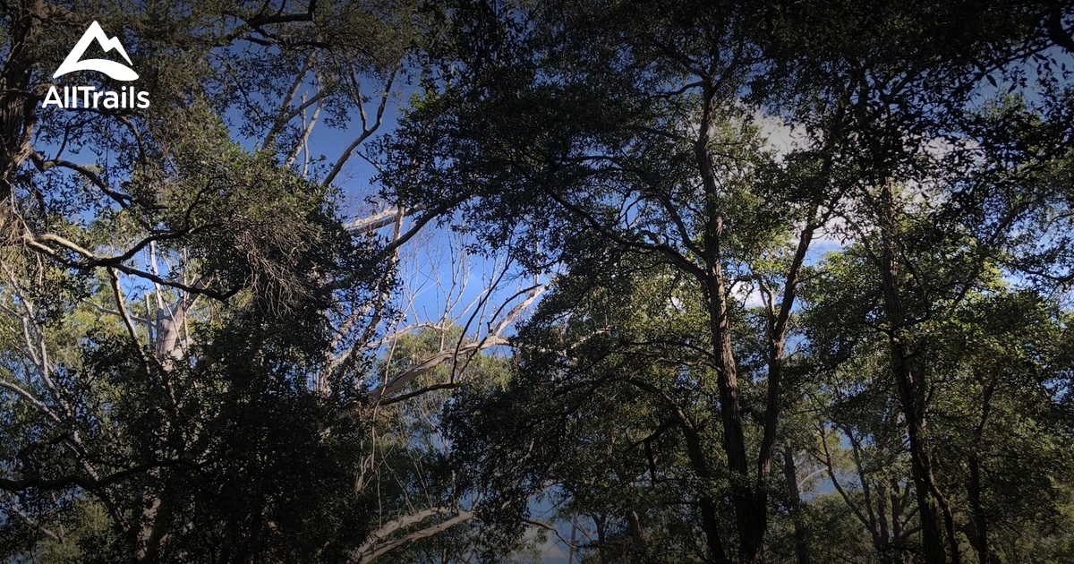 Best hikes and trails in Torry Burn Reserve | AllTrails