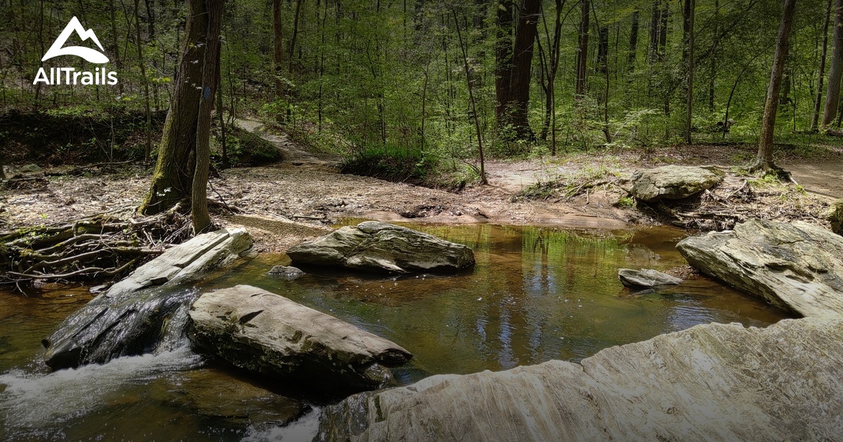 Best hikes and trails in Fred Crabtree Park | AllTrails