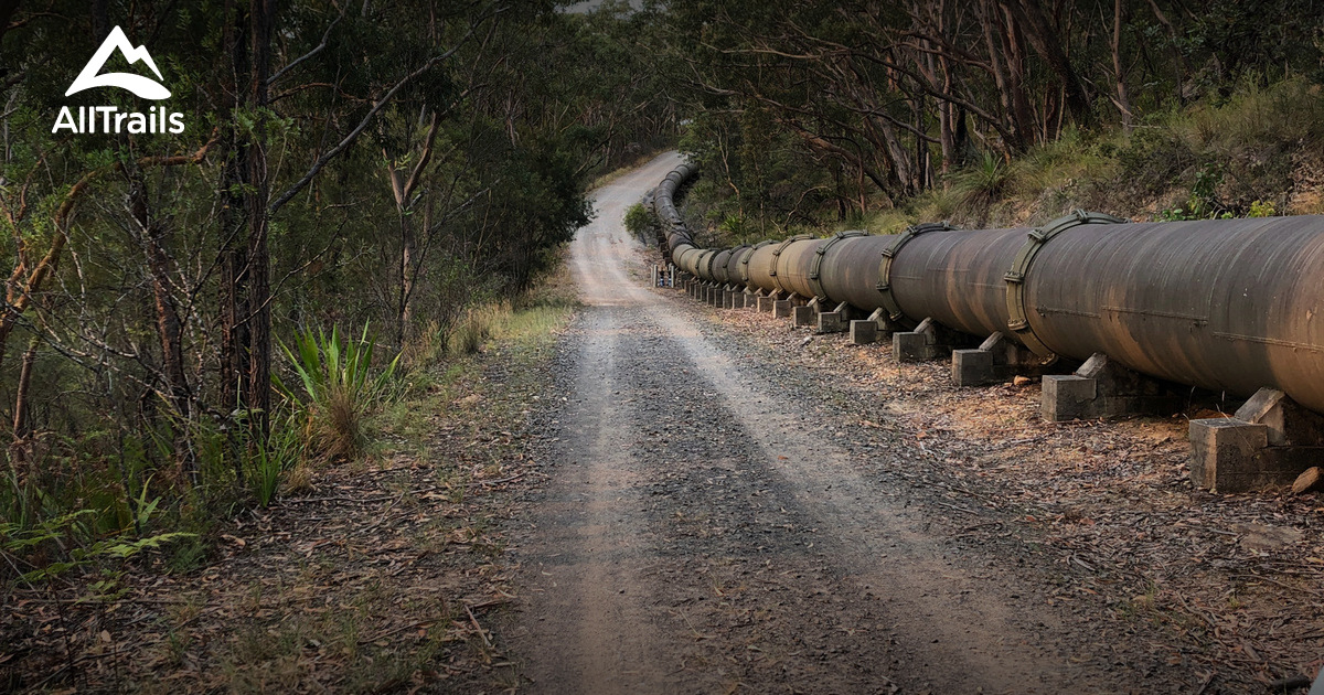 Ferntree Road Reserve : les meilleures randonnées modérées | AllTrails
