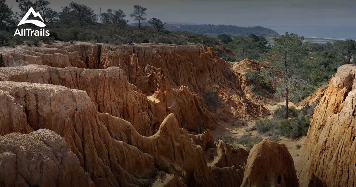 Best easy trails in Torrey Pines State Natural Reserve Extension ...