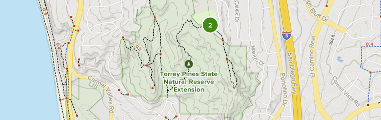 Best Trails in Torrey Pines State Natural Reserve Extension | AllTrails