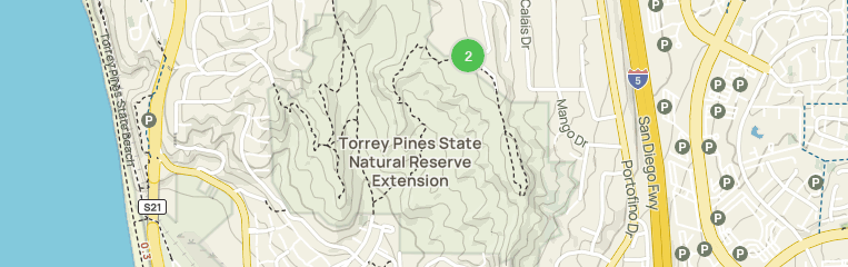 Best Hikes and Trails in Torrey Pines State Natural Reserve Extension ...