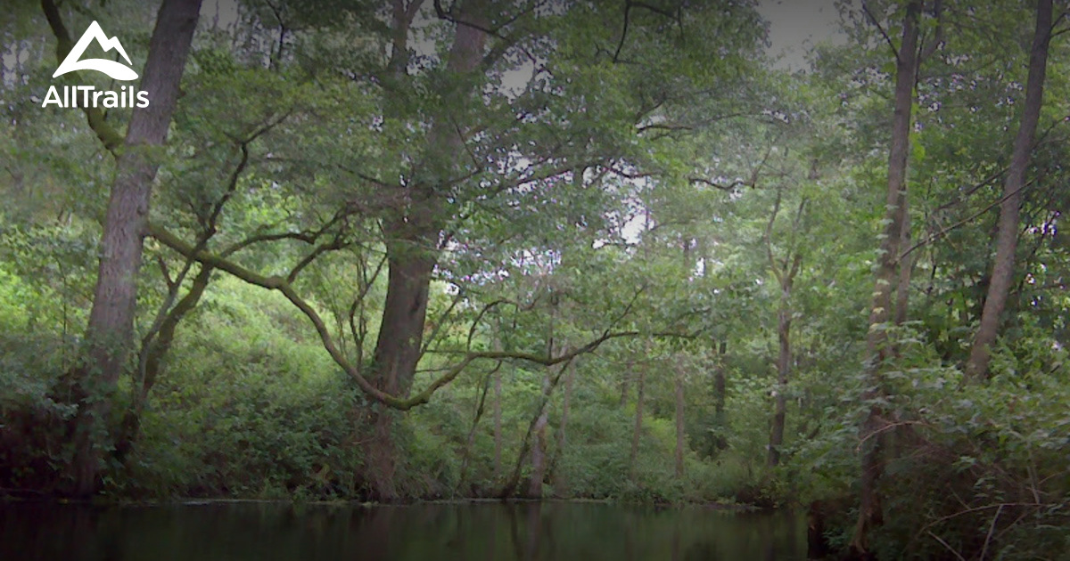 Best historic site trails in Zaborski Landscape Park | AllTrails