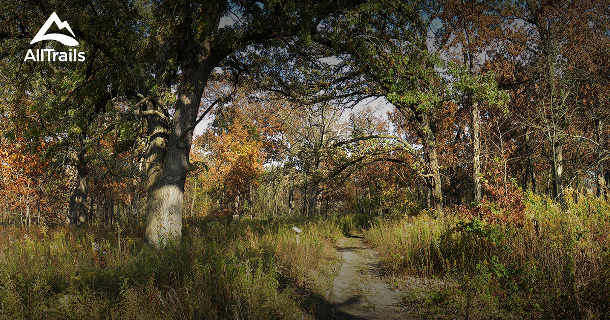 Best forest trails in Bur Oak Woods Nature Preserve | AllTrails