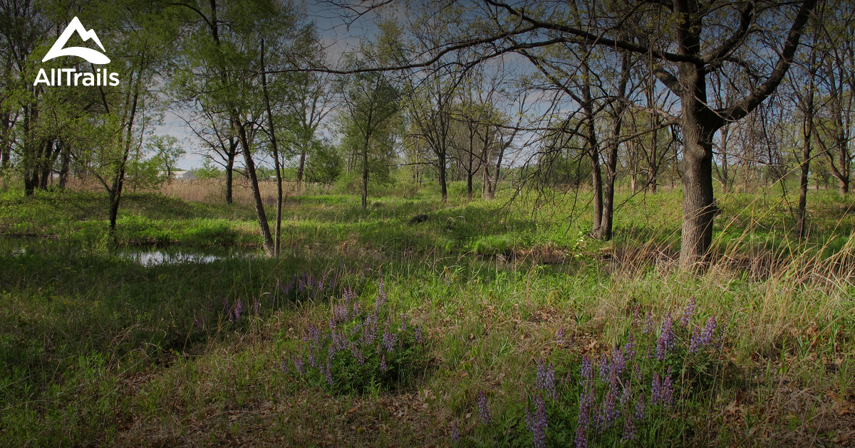 Best hikes and trails in Seidner Dune and Swale Nature Preserve | AllTrails