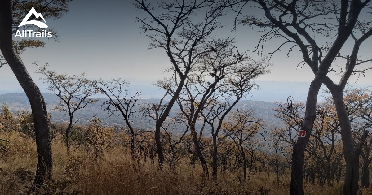 Best hikes and trails in De Wildt Adventure Trails | AllTrails