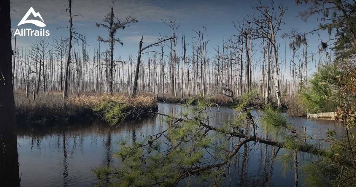 Die Besten Kurzen Routen in Brunswick Nature Park | AllTrails