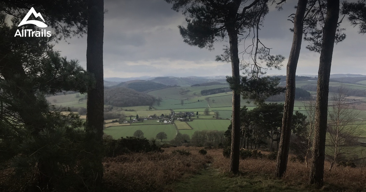 Best hikes and trails in Croft Castle and Parkland | AllTrails