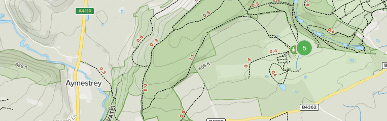 Best Hikes and Trails in Croft Castle and Parkland | AllTrails