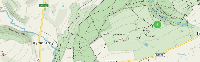 Best Hikes and Trails in Croft Castle and Parkland | AllTrails