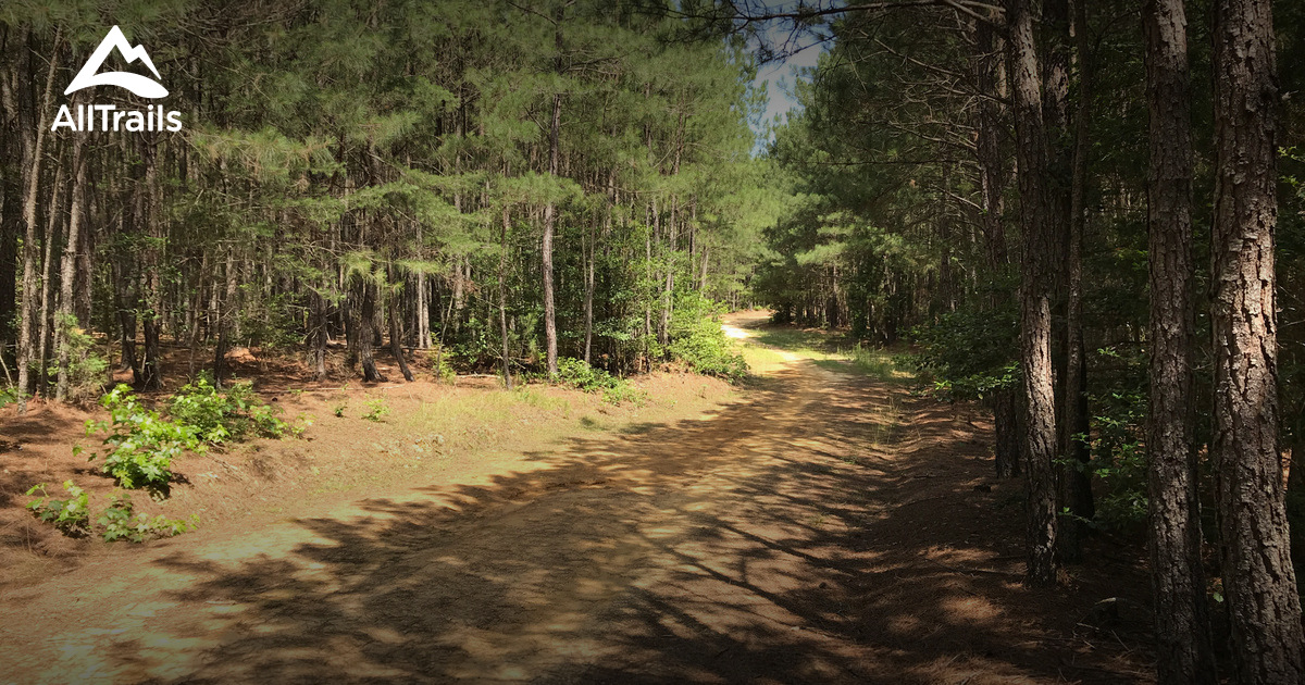 Best mountain biking trails in Salem State Forest | AllTrails