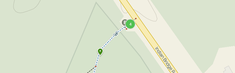 Best Hikes and Trails in Salem State Forest | AllTrails