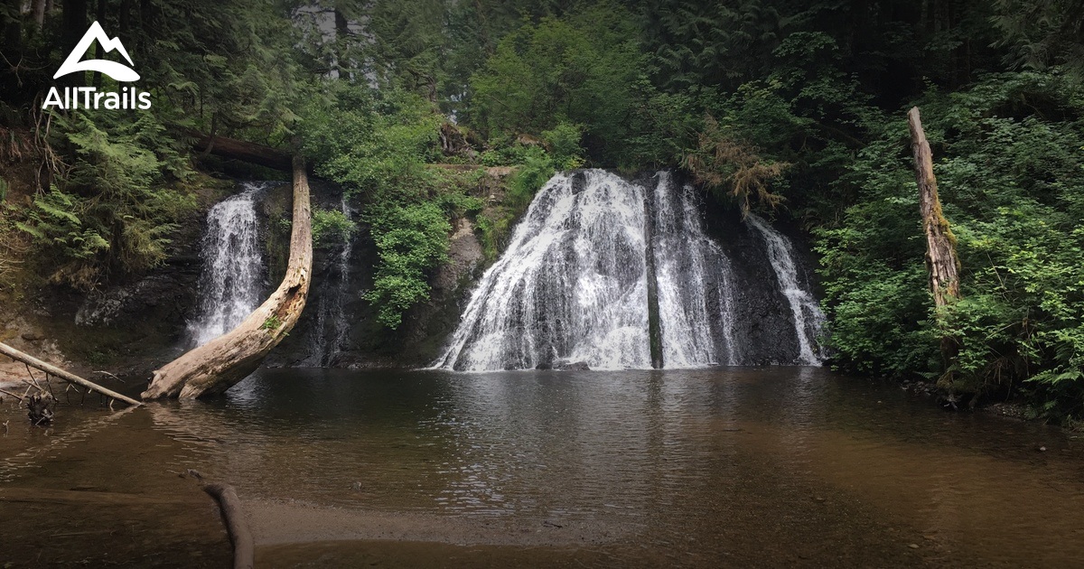 Best hikes and trails in Marckworth Forest | AllTrails