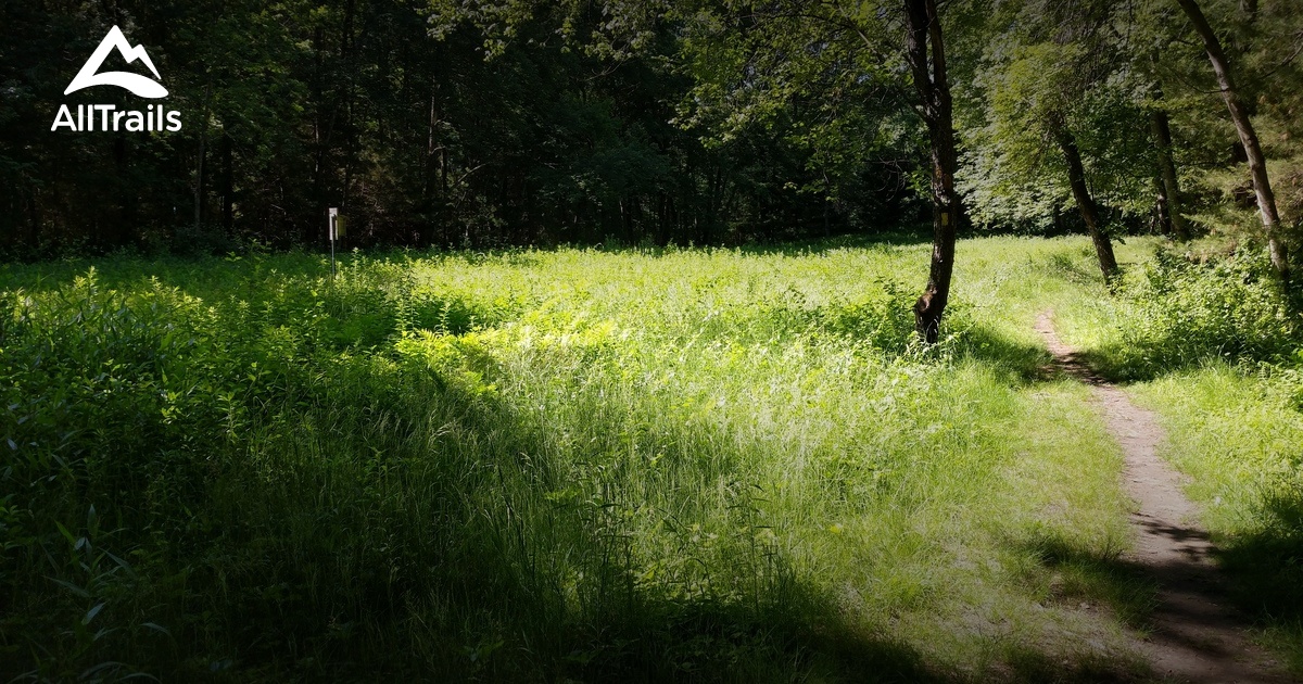 Best hikes and trails in Heath Hen Meadow | AllTrails
