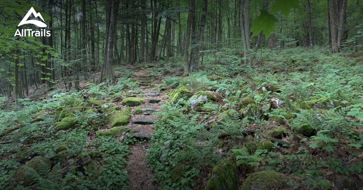 Best hikes and trails in Goose Pond Reservation | AllTrails
