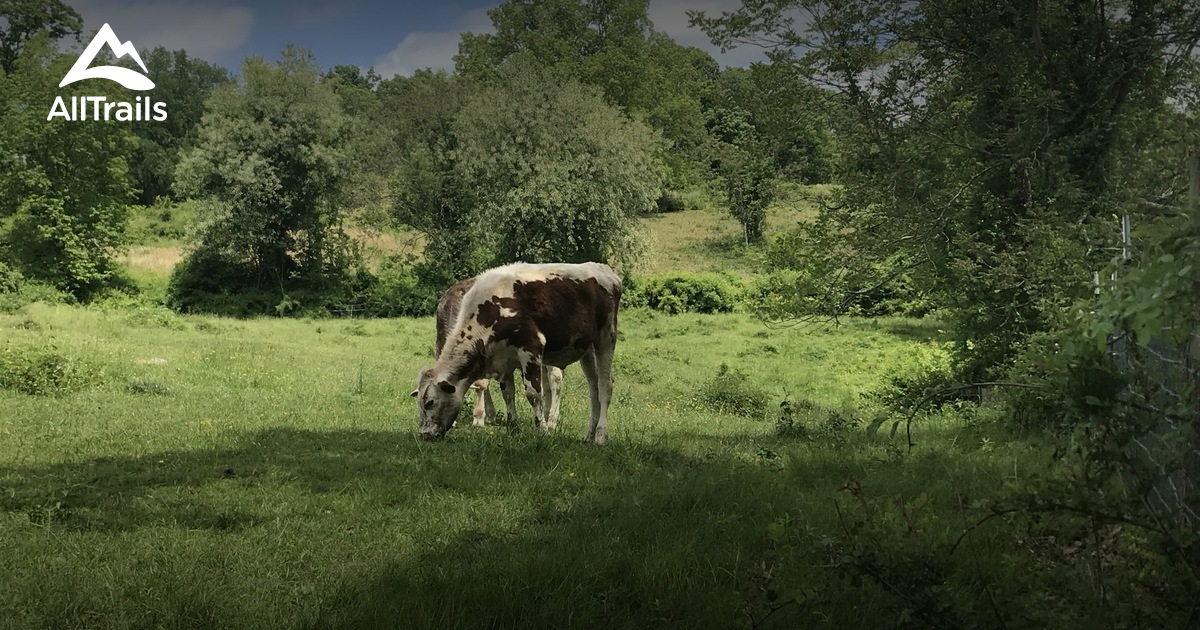 Best Trails in Muscoot Farm - New York | AllTrails