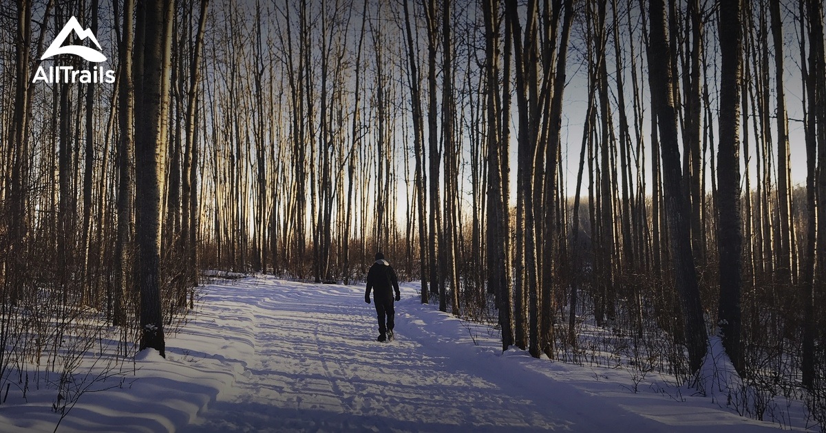 Best hikes and trails in Hasse Lake Park | AllTrails