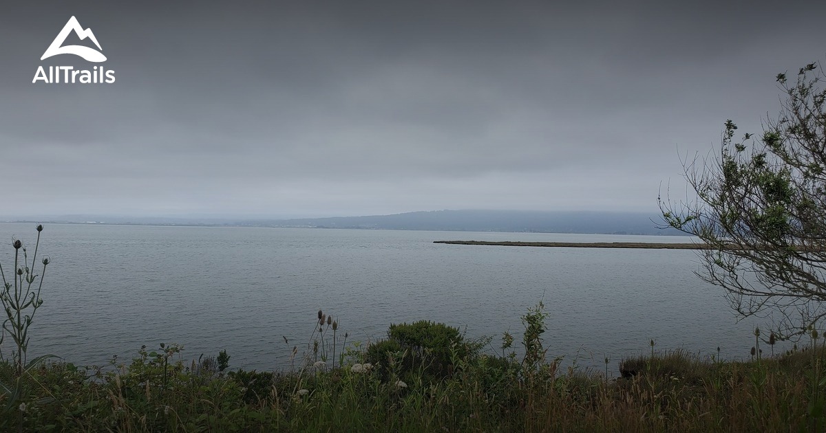 Best hikes and trails in Fay Slough Wildlife Area | AllTrails