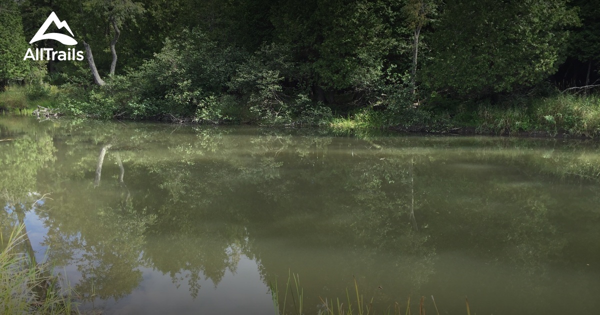 Best hikes and trails in Parslow Road Conservation Area | AllTrails