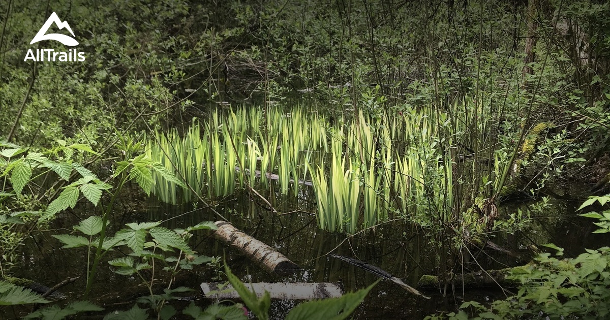 Best hikes and trails in Hillkeep Regional Park | AllTrails