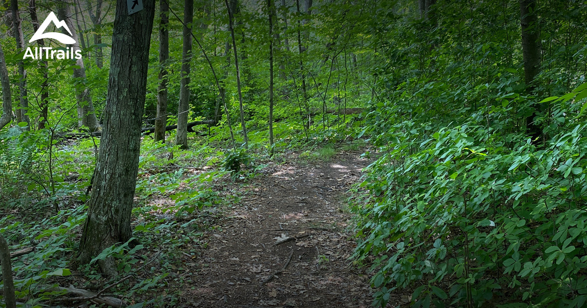 Best hikes and trails in Otis Smith Farm and Rowbottom Preserve | AllTrails