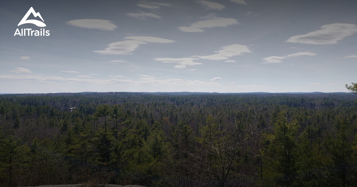 Best hikes and trails in Rock Rimmon State Forest | AllTrails