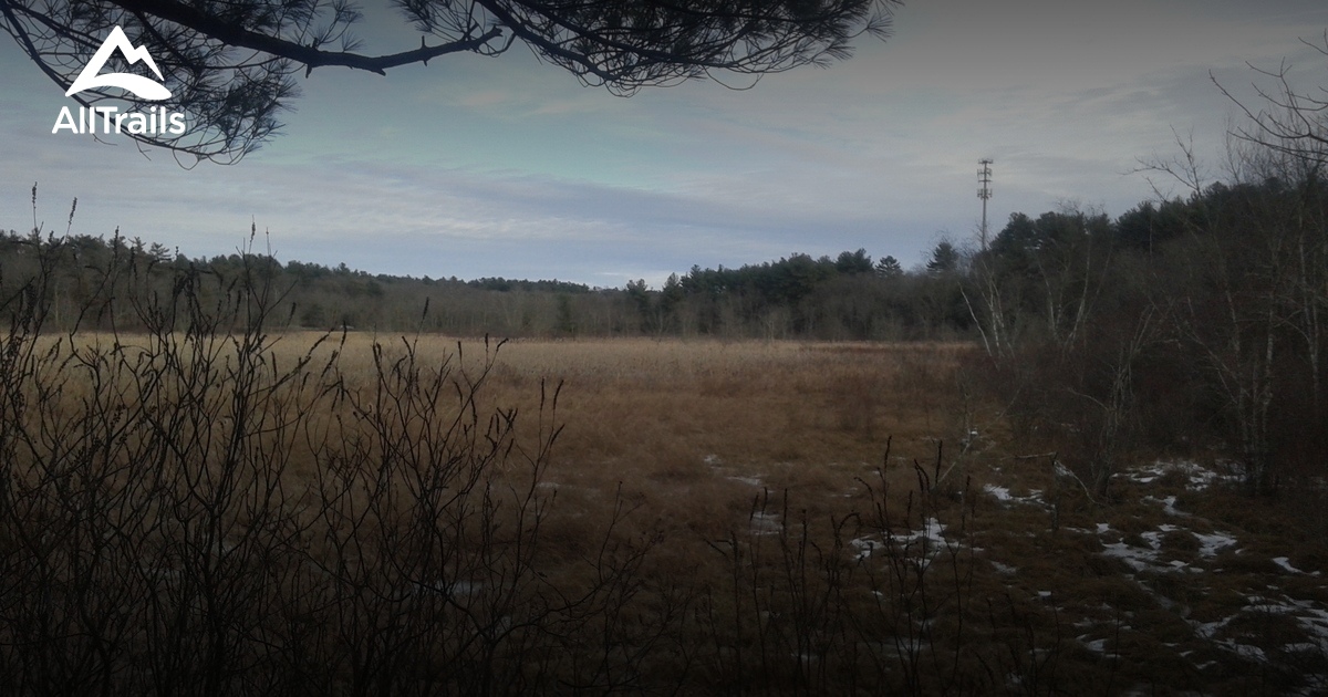 Best hikes and trails in Camp Wing Conservation Area | AllTrails