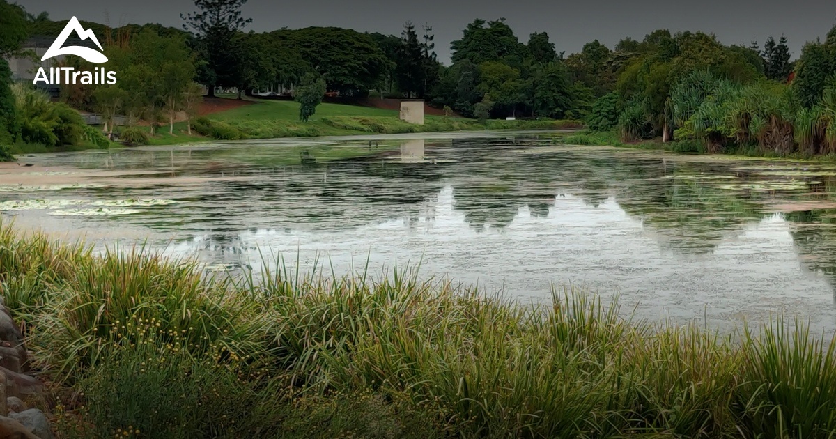 Best walking trails in Mackay Regional Botanic Gardens | AllTrails